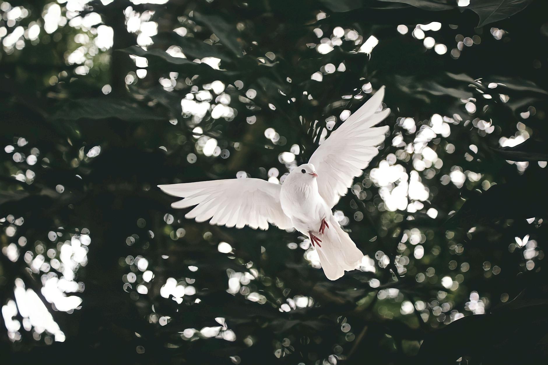 “They say, “The Holy Spirit doesn’t do miracles anymore.” | Urban ...