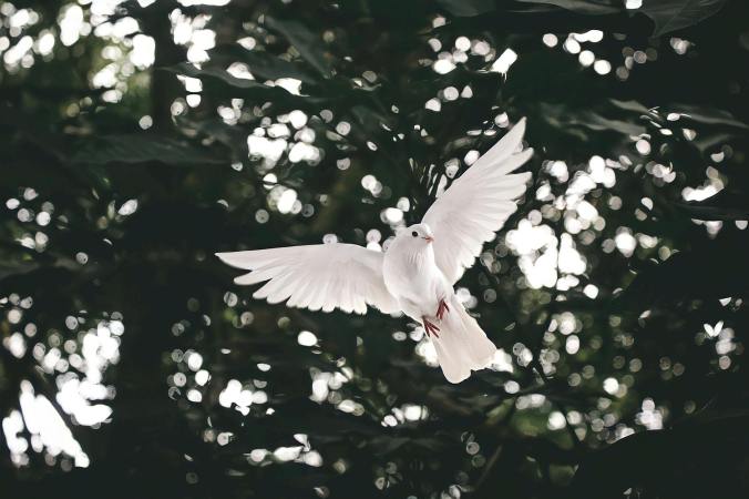 “They say, “The Holy Spirit doesn’t do miracles anymore.” | Urban ...